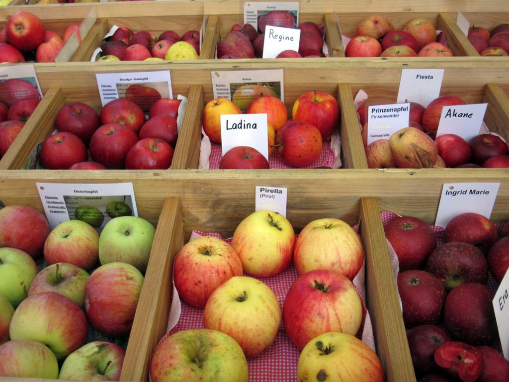 Fürther Apfelmarkt – Heimisches Obst & regionale Genüsse
